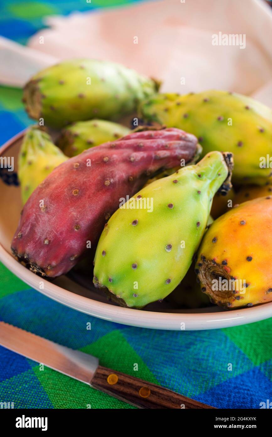 Prickly plate hi-res stock photography and images - Alamy