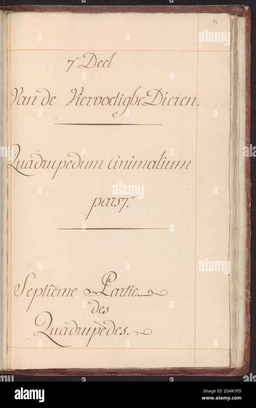 Title page for the seventh part of the four-legged friends; 7th. Part ...