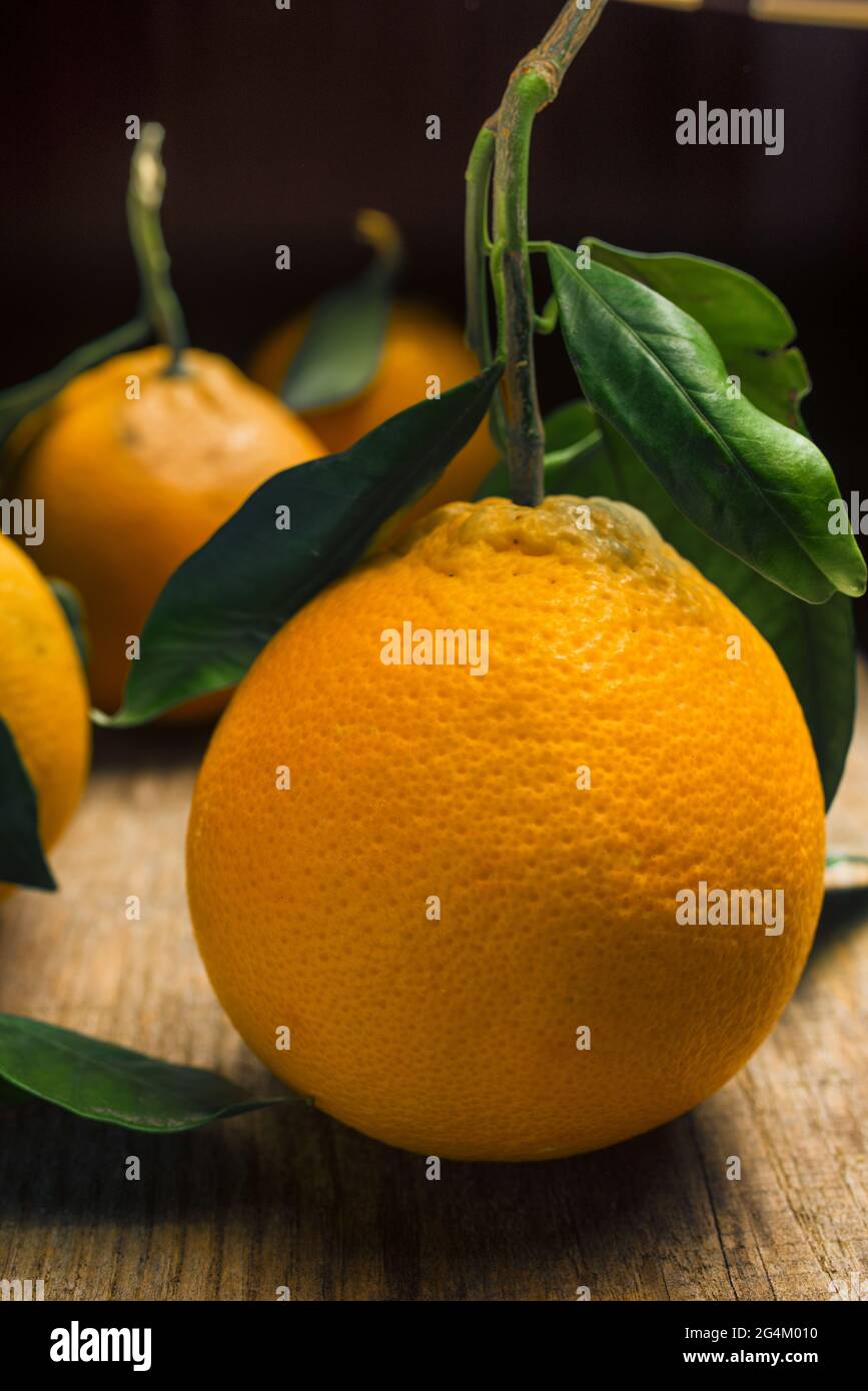 Blood oranges sicily hi-res stock photography and images - Alamy
