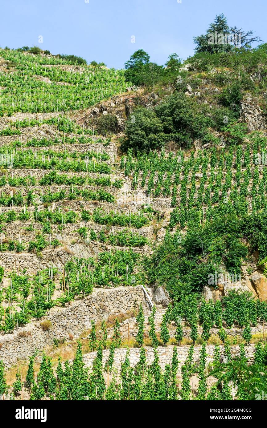 Tournon sur rhône color hi-res stock photography and images - Alamy