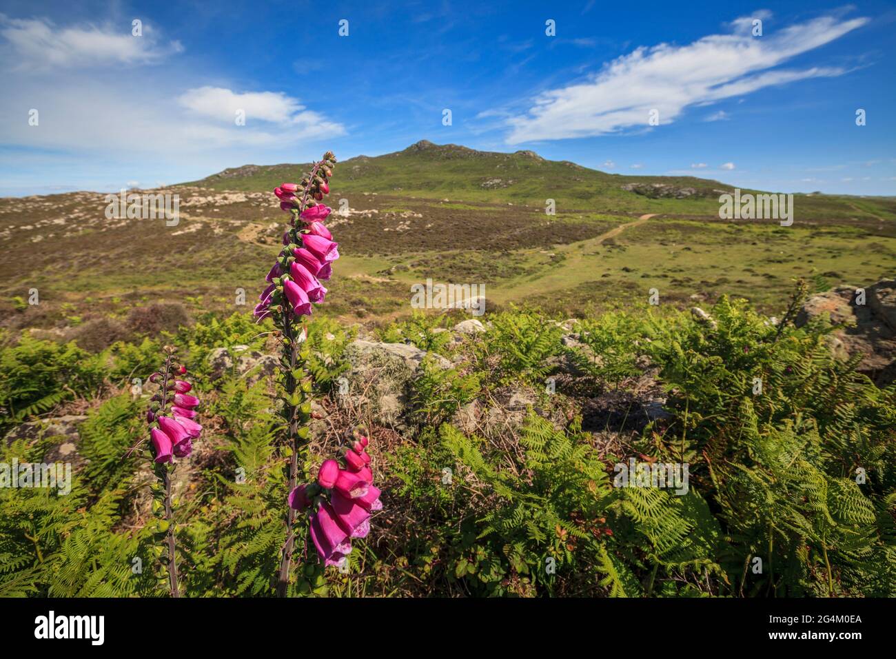 Lidia hi-res stock photography and images - Alamy