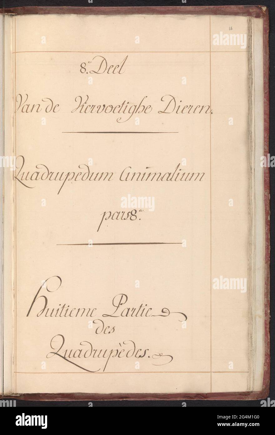 Title page for the eighth part of the four-legged groups; 8th. Part of ...