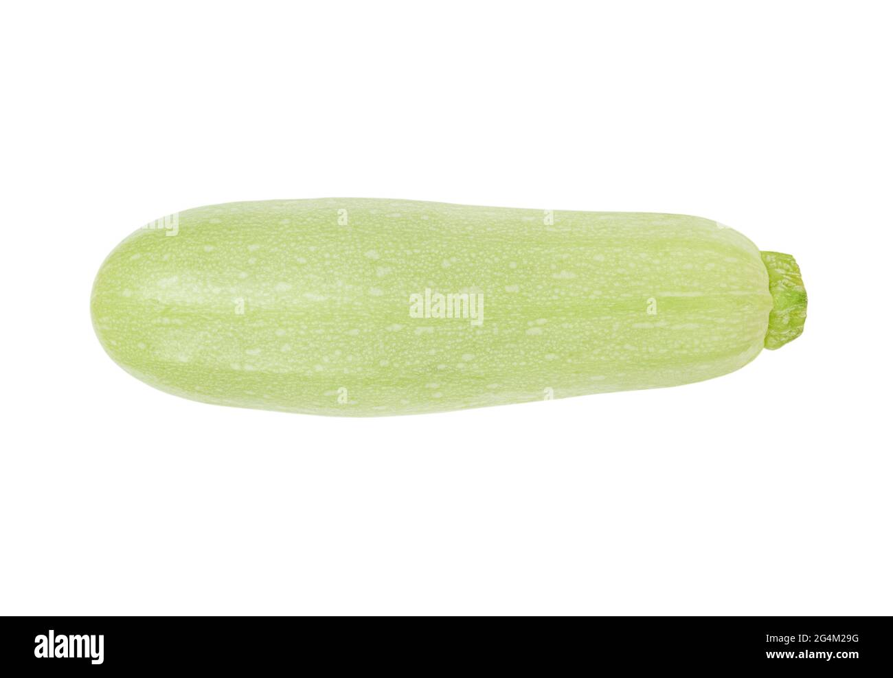 One zucchini courgette isolated on white background Stock Photo - Alamy