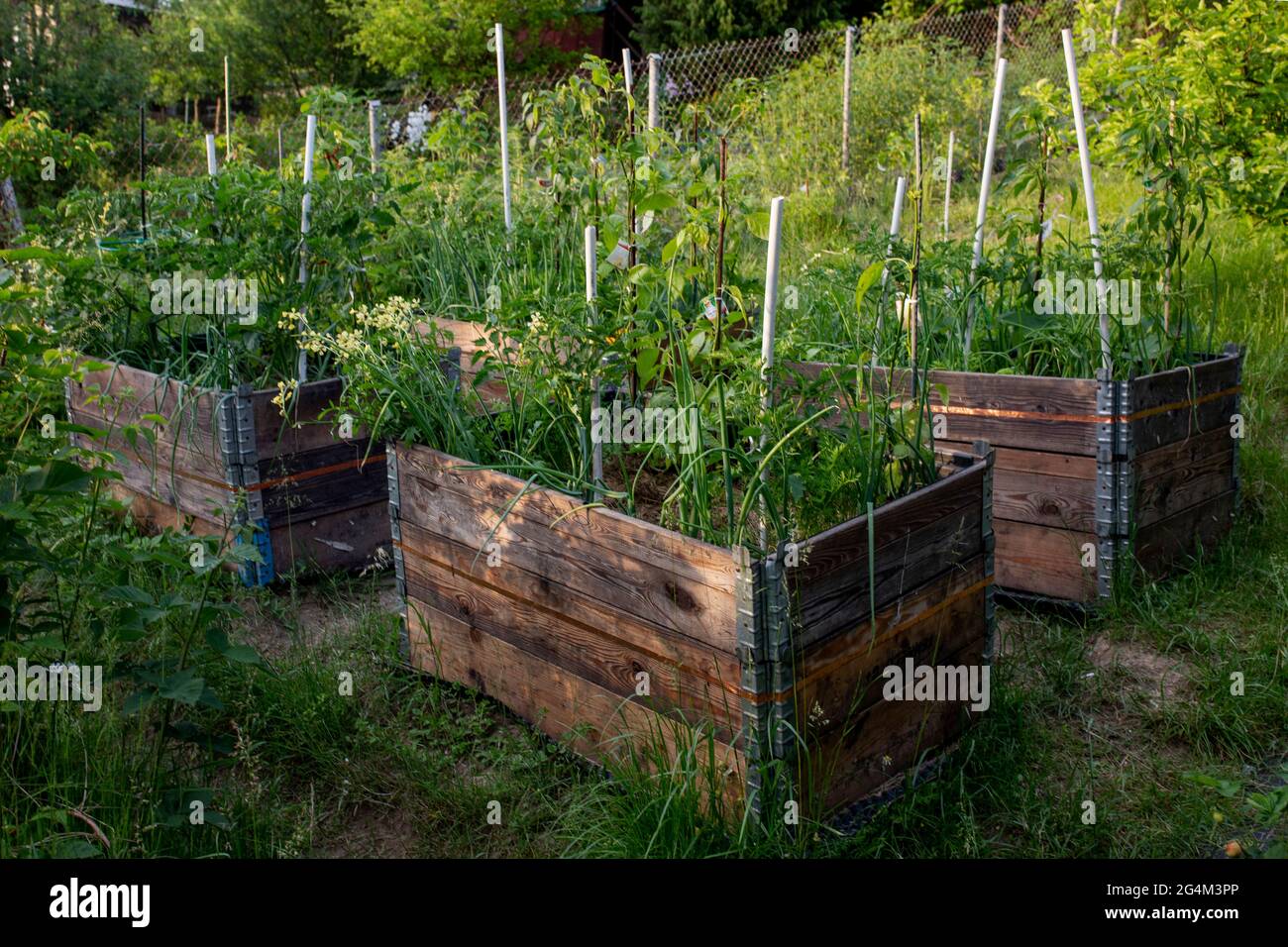 Raised pallet collar hi-res stock photography and images - Alamy