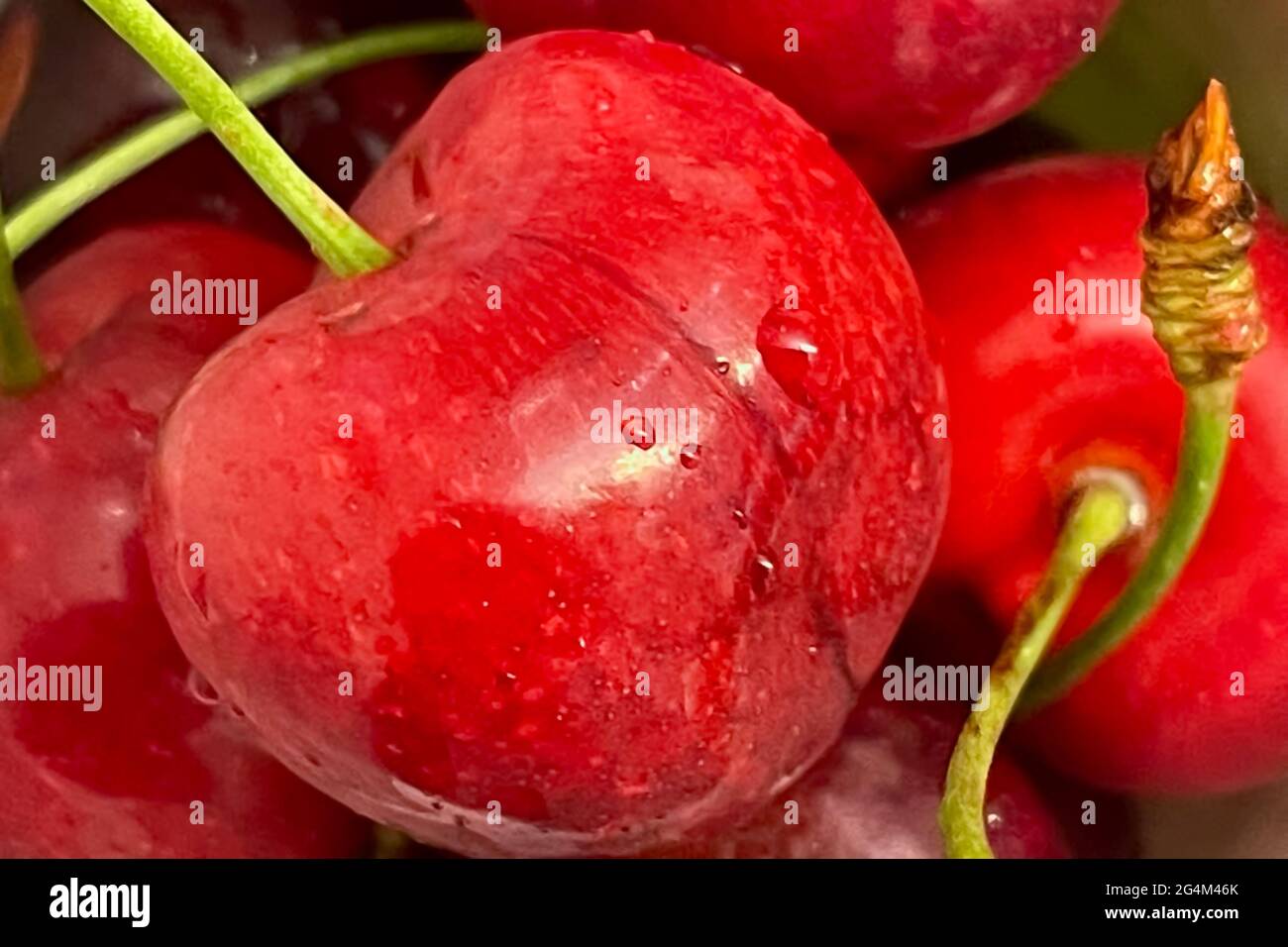Cherry berries, the most popular fruit of the summer season Stock Photo ...