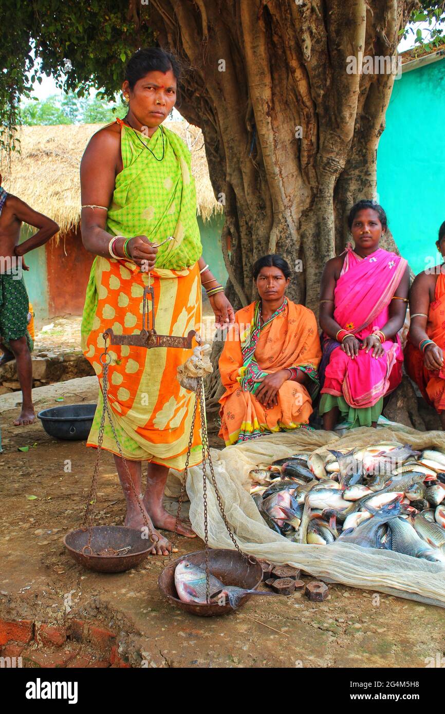 BHUBANESWAR, INDIA - Jun 15, 2021: fish farmers of Odisha harvesting ...