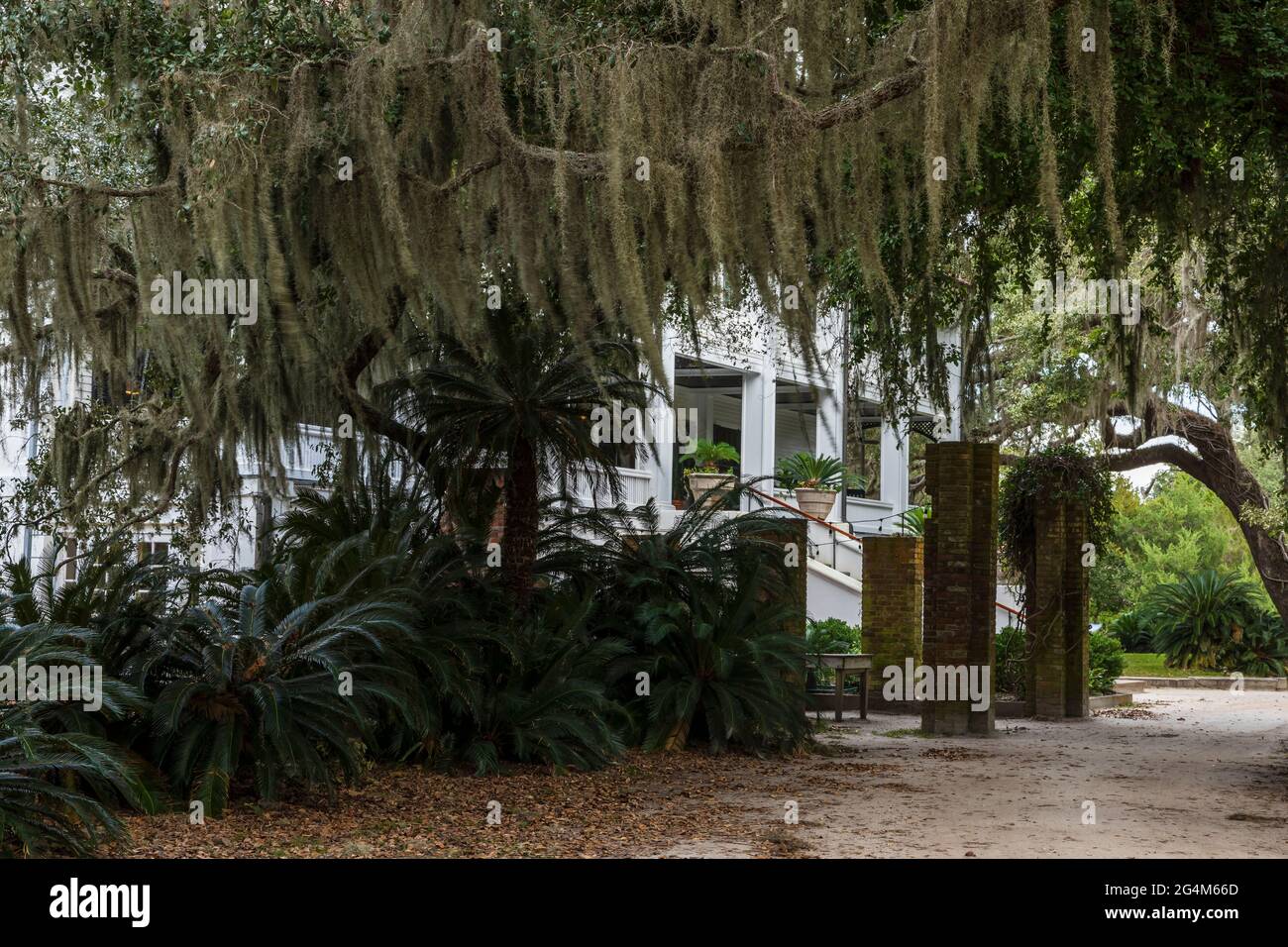Greyfield Inn on Cumberland Island National Seashore, Georgia Stock ...