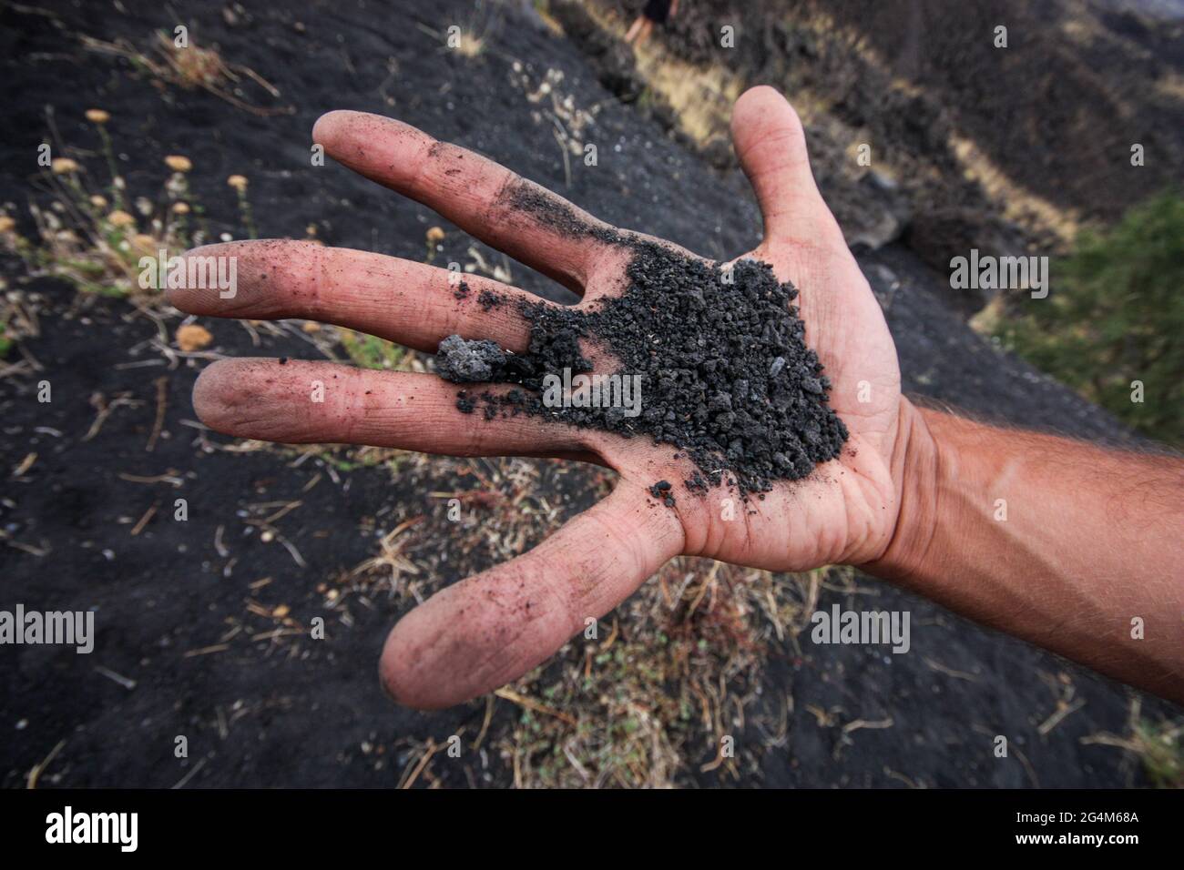Volcanic soil in human hand, Etna volcan, Sicily, Italy, Europe Stock ...