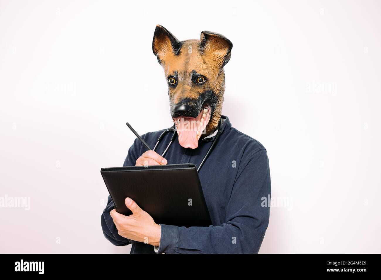 person with dog mask and stethoscope taking notes in a folder on white ...