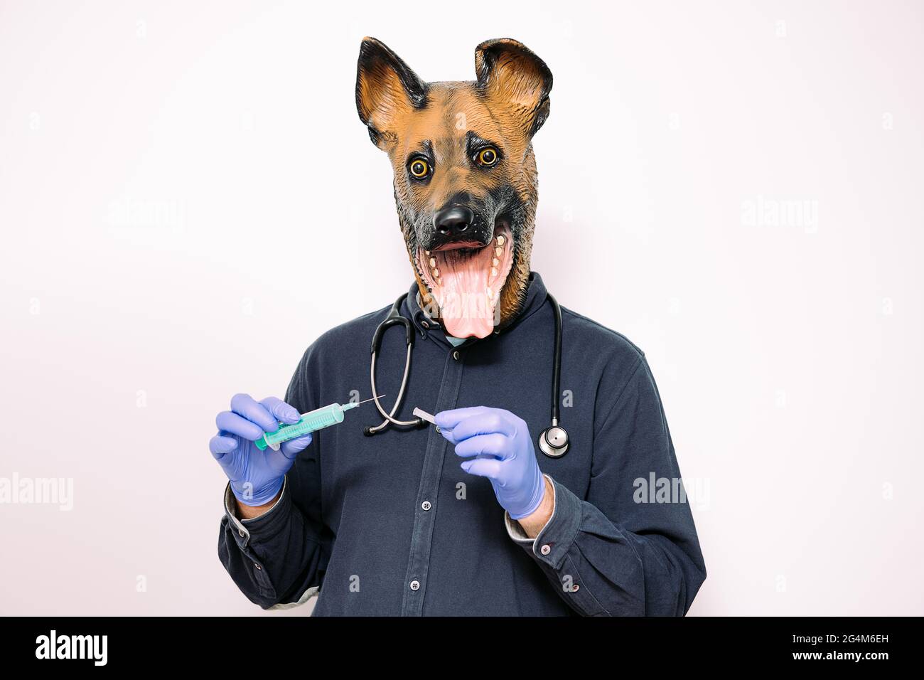 person with a dog mask, latex gloves and a stethoscope holding a ...