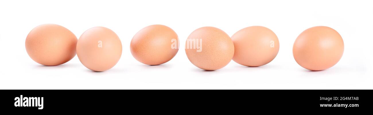 Six fresh chicken eggs isolated on white background Stock Photo - Alamy