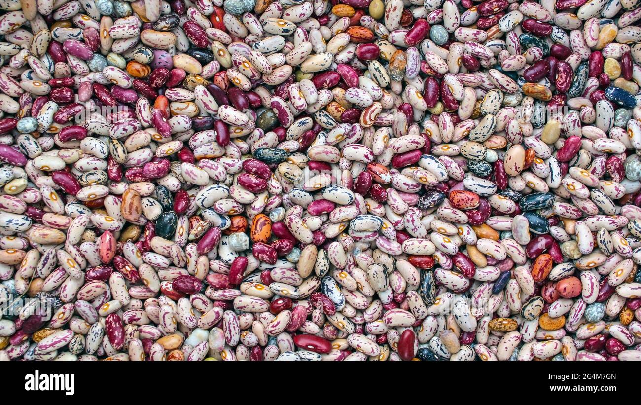Multicolored beans background, many colorful dry beans, top view. Whole ...