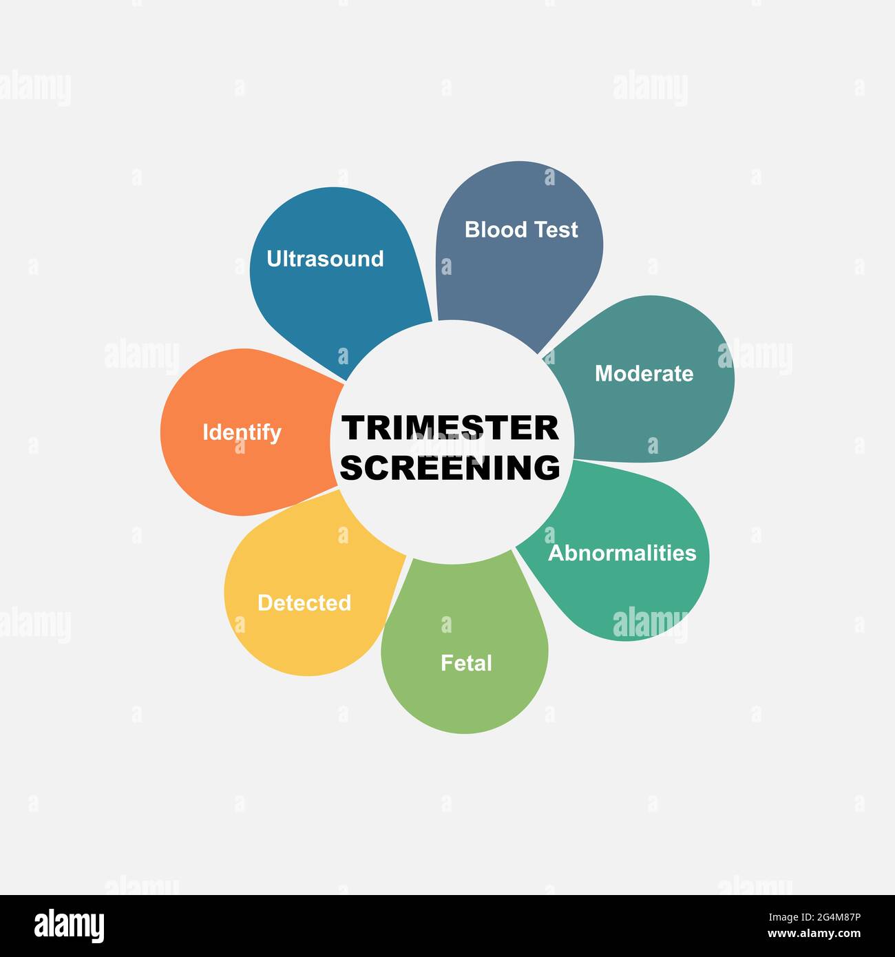 Fetal screening Stock Vector Images - Alamy