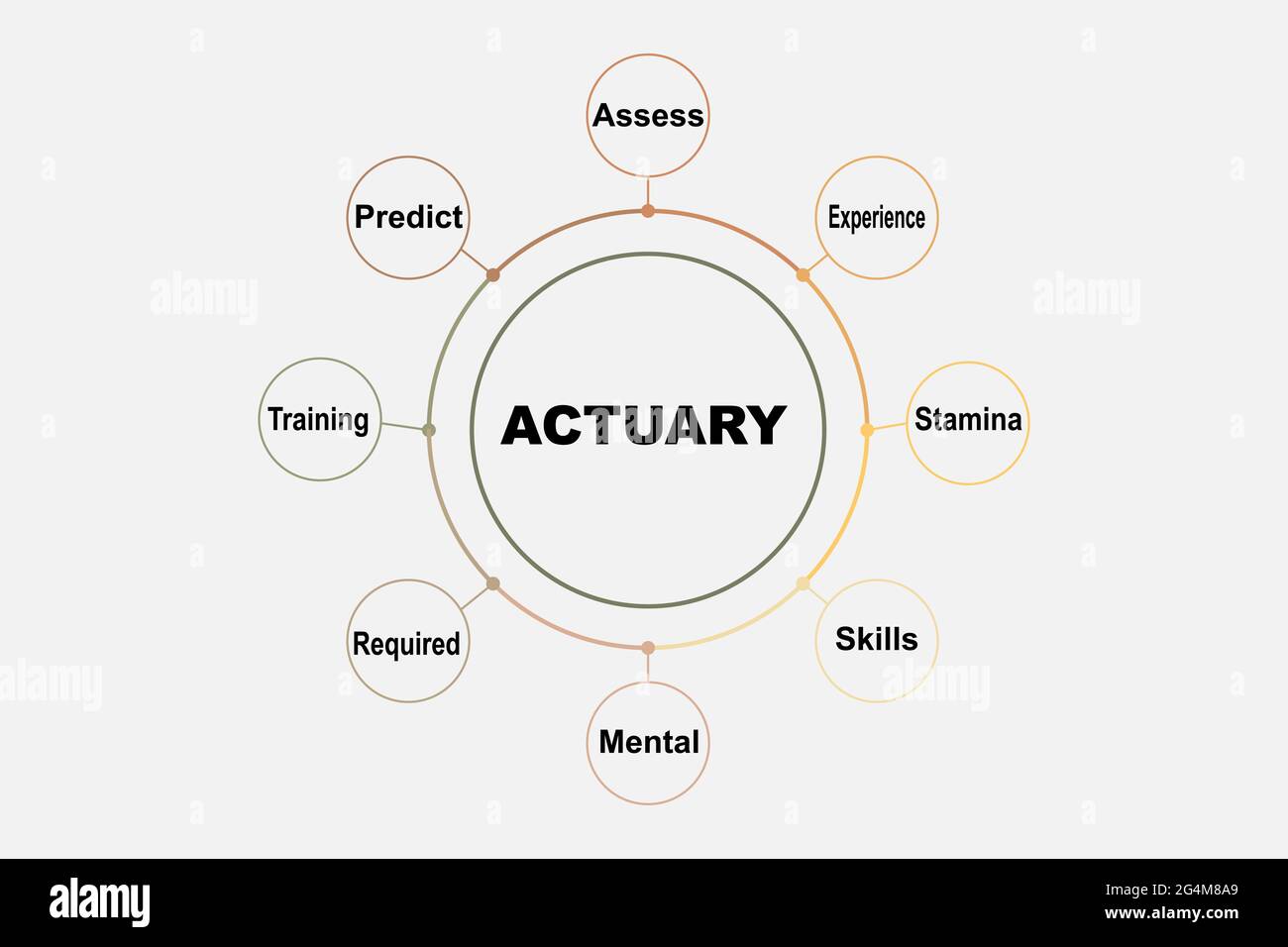Diagram concept with Actuary text and keywords. EPS 10 isolated on ...