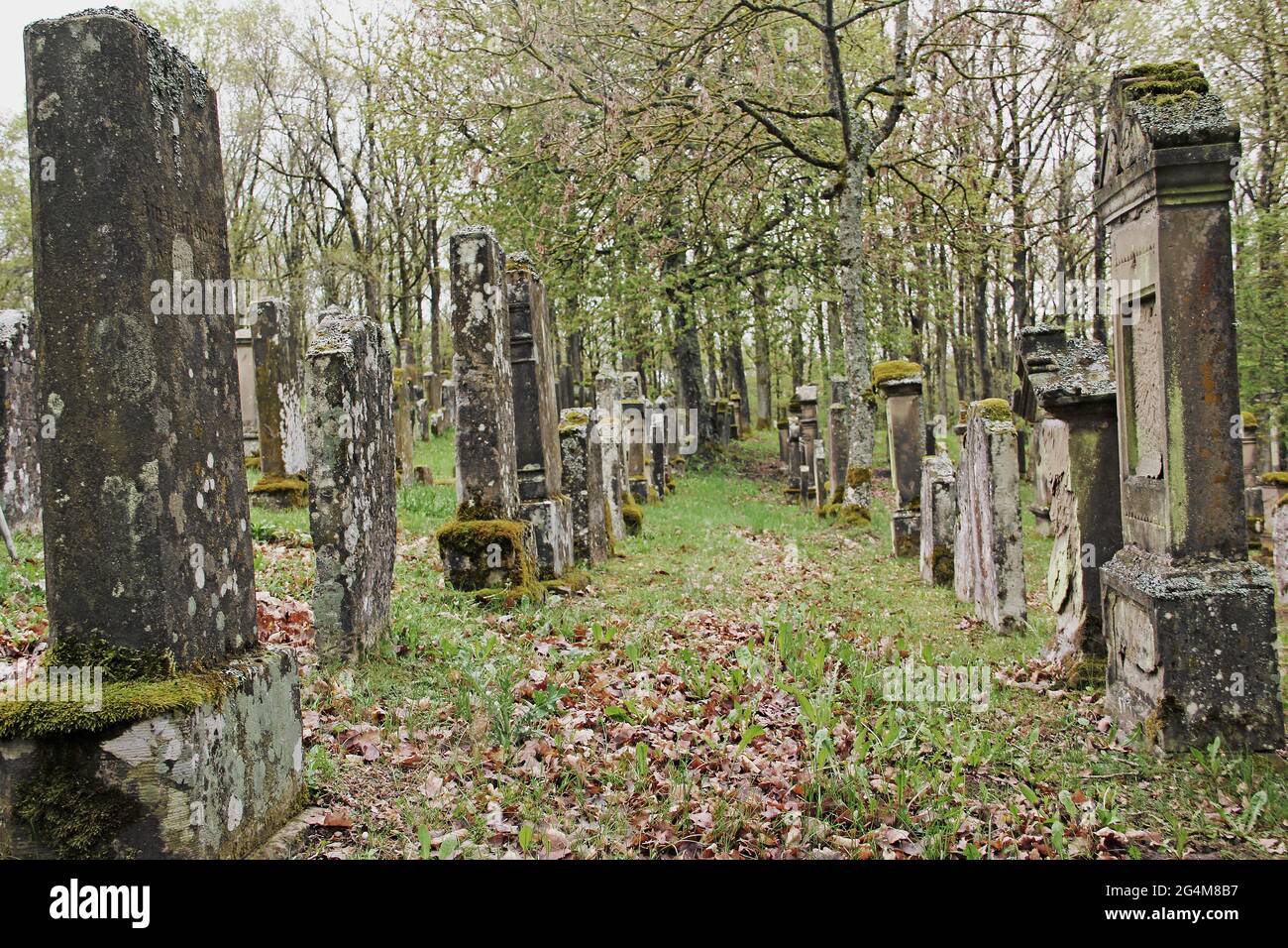 Kleinbardorf Jewish Cemetery In Lower Franconia Stock Photo - Alamy