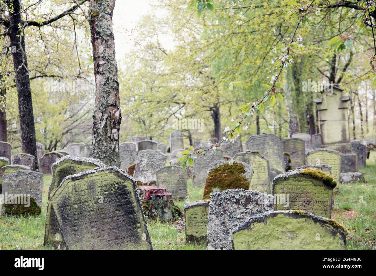 Kleinbardorf Jewish Cemetery In Lower Franconia Stock Photo - Alamy