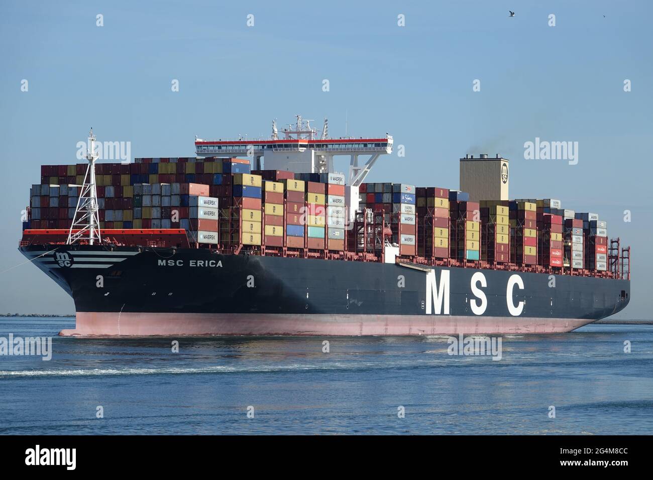 Msc erica hi-res stock photography and images - Alamy