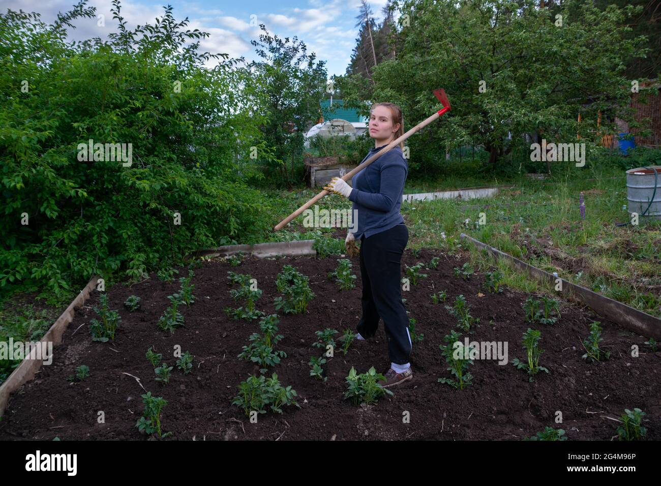 Hand hoeing hi-res stock photography and images - Alamy