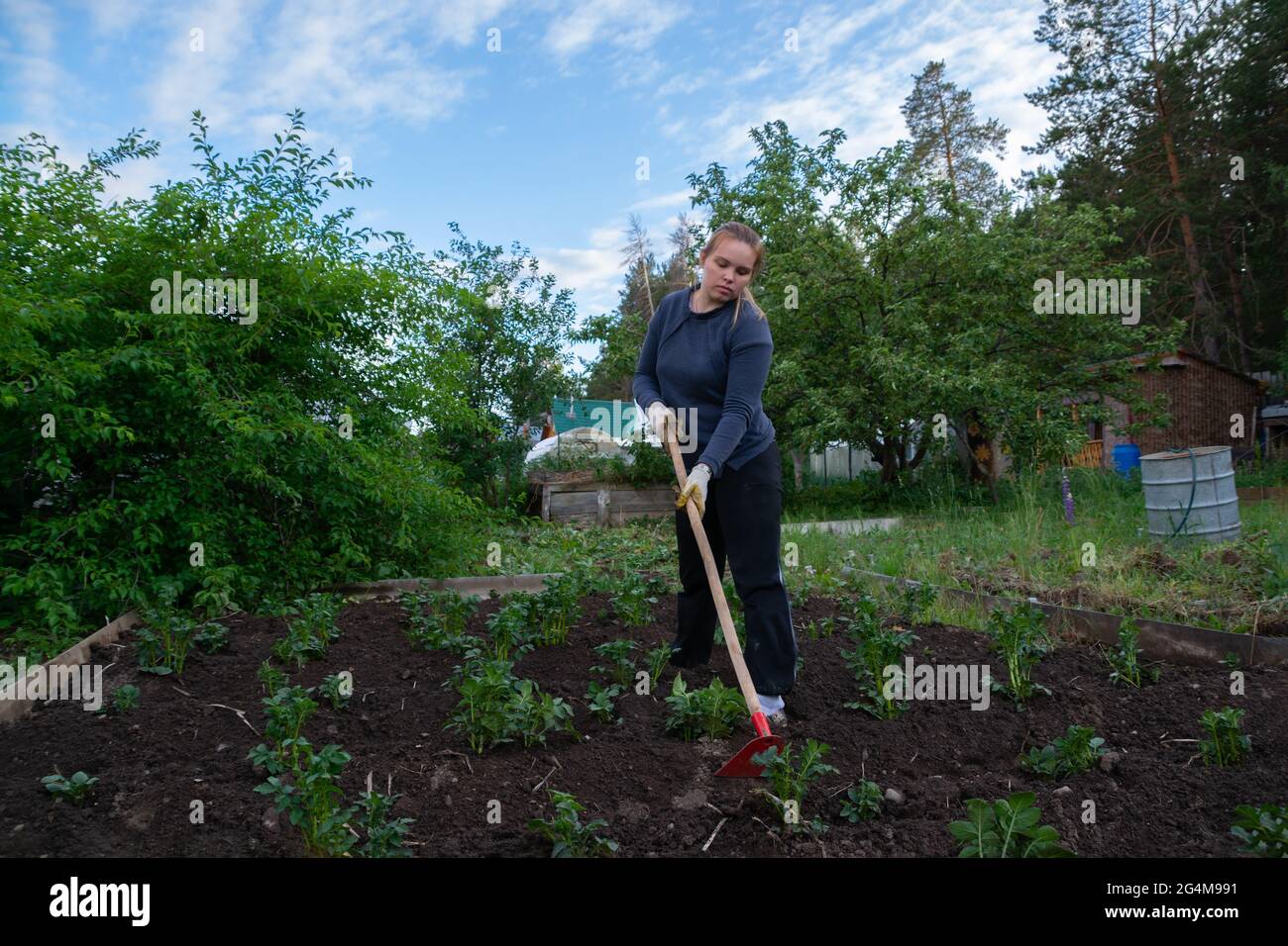 Hand hoeing hi-res stock photography and images - Alamy