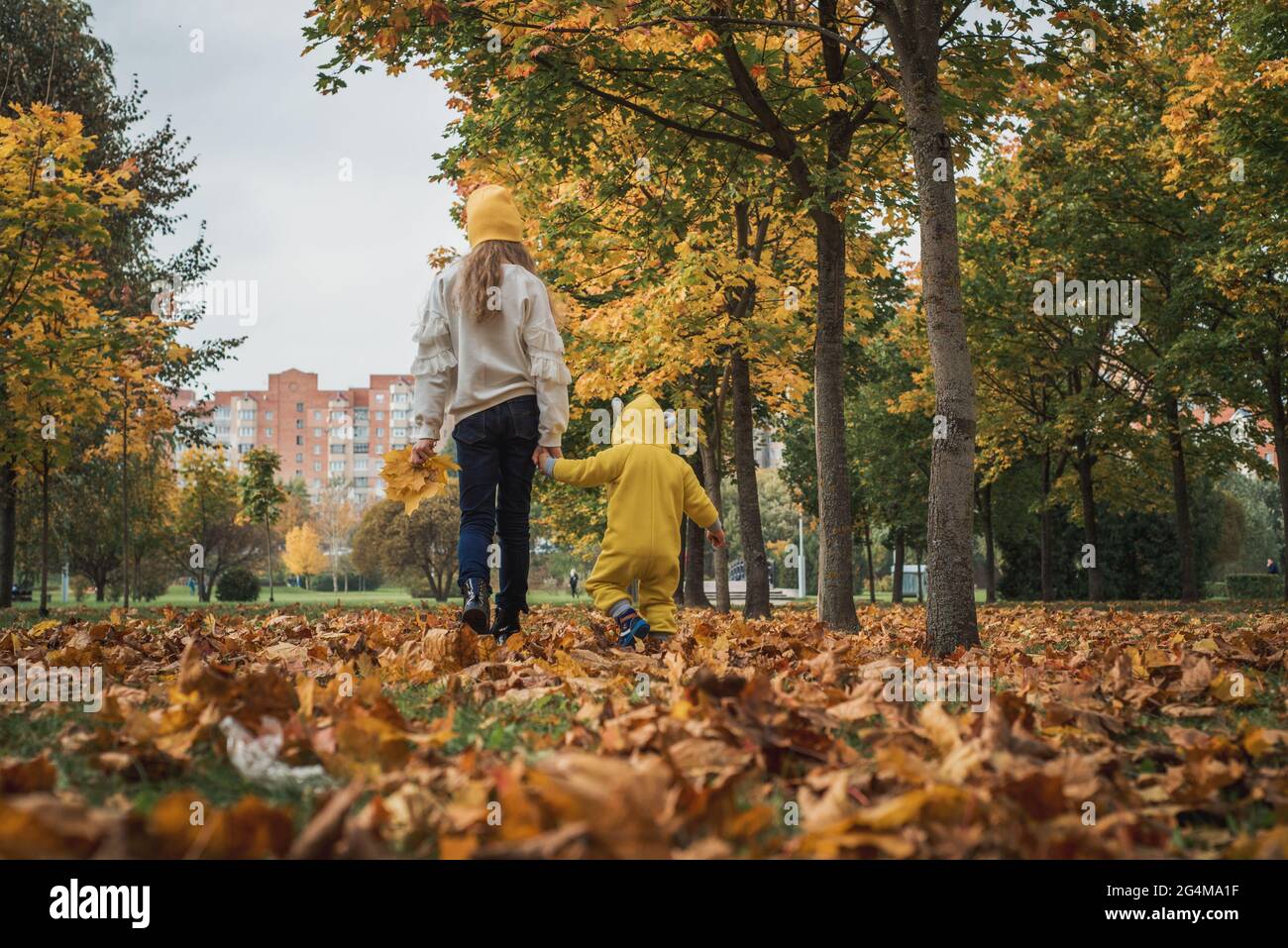 Happy children walk in autumn park. leaf fall, lifestyle Stock Photo ...