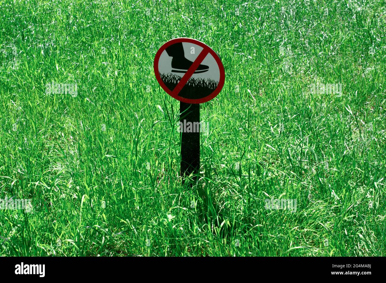 Foot protection sign hi-res stock photography and images - Alamy