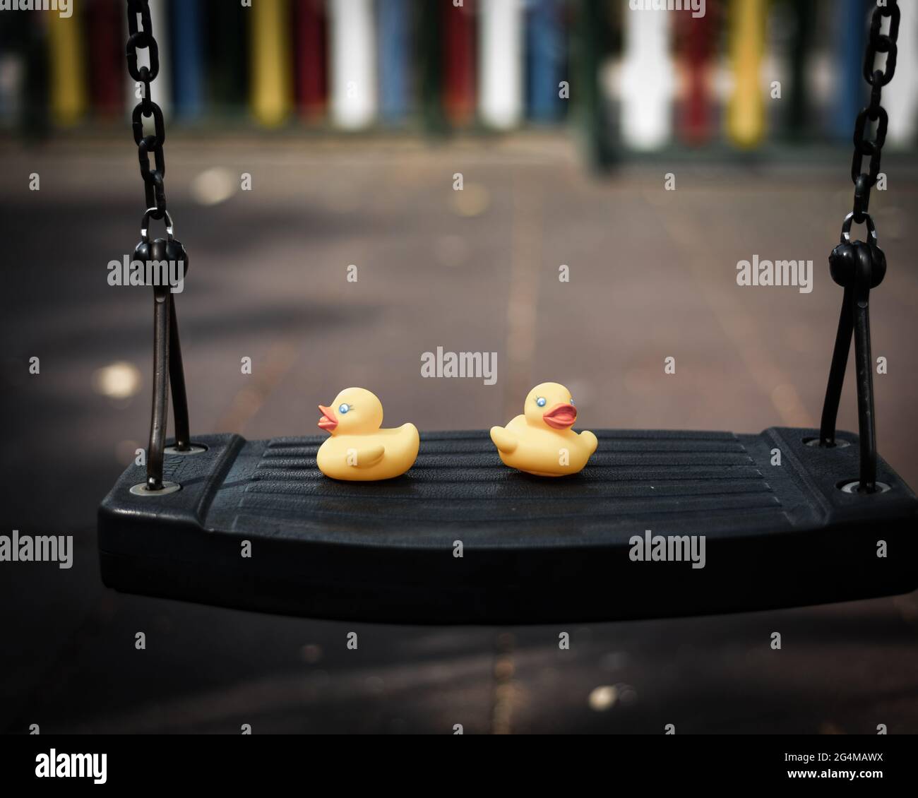 Rubber duck school hi-res stock photography and images - Alamy