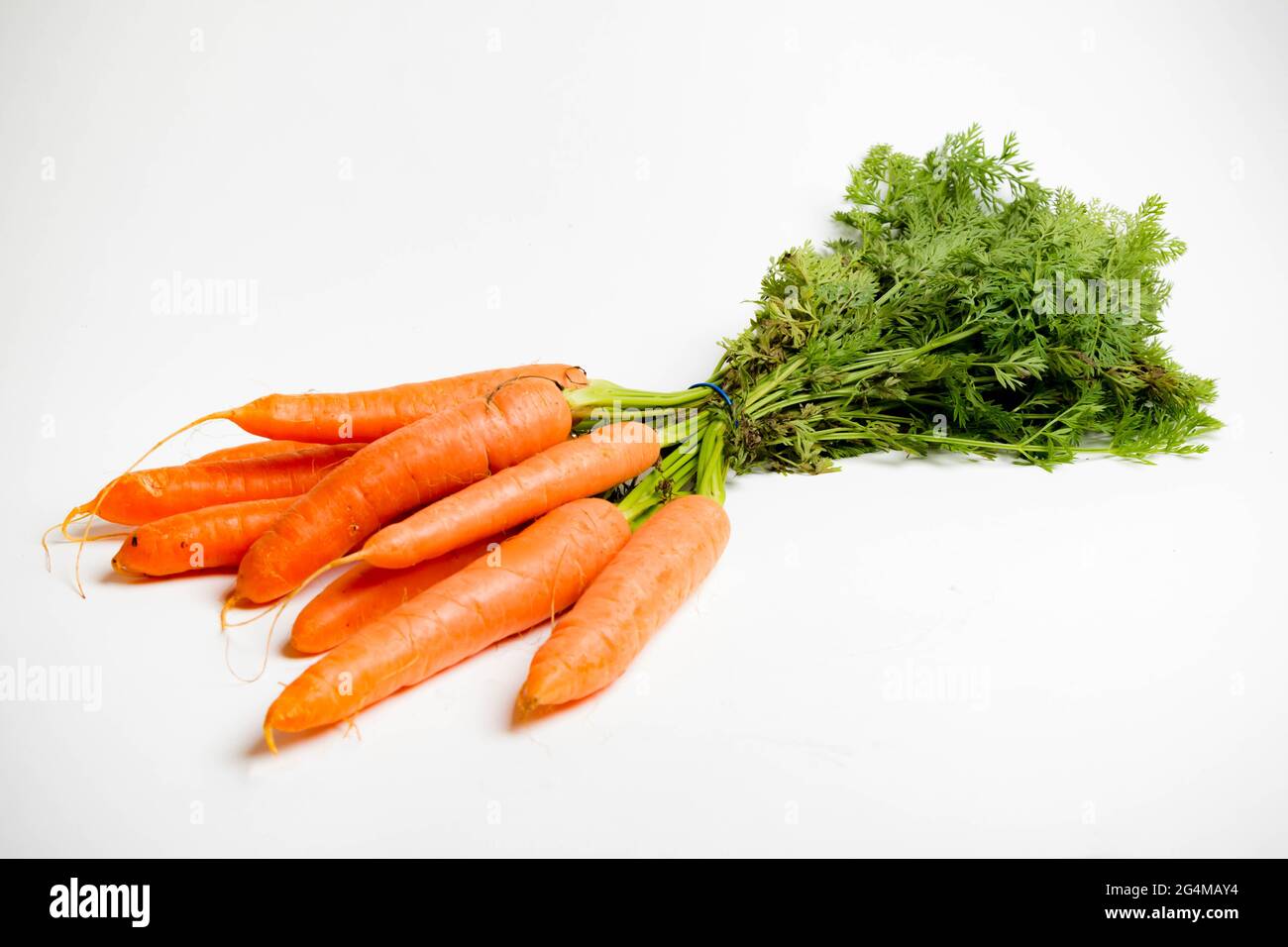 A bunch of carrots with tops, isolated on a white background Stock ...
