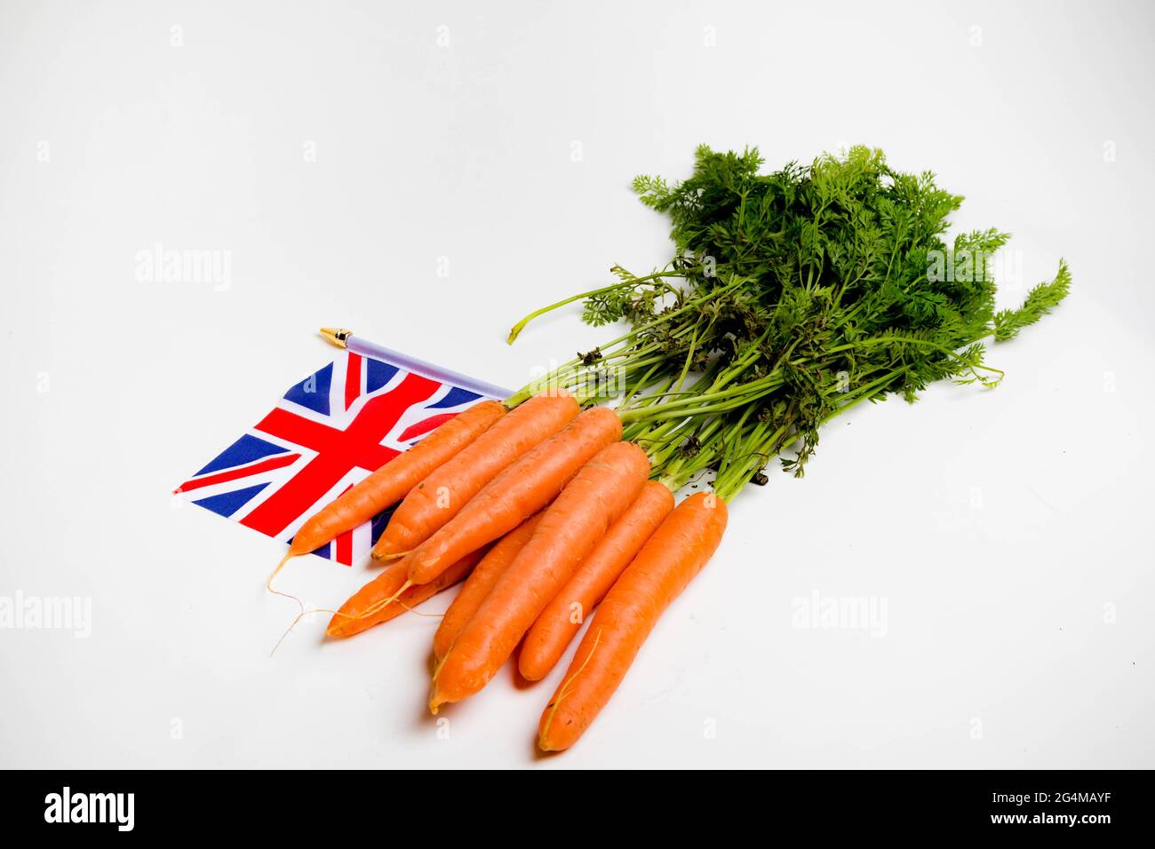 A bunch of carrots with tops and a Union Jack Flag isolated on a white ...