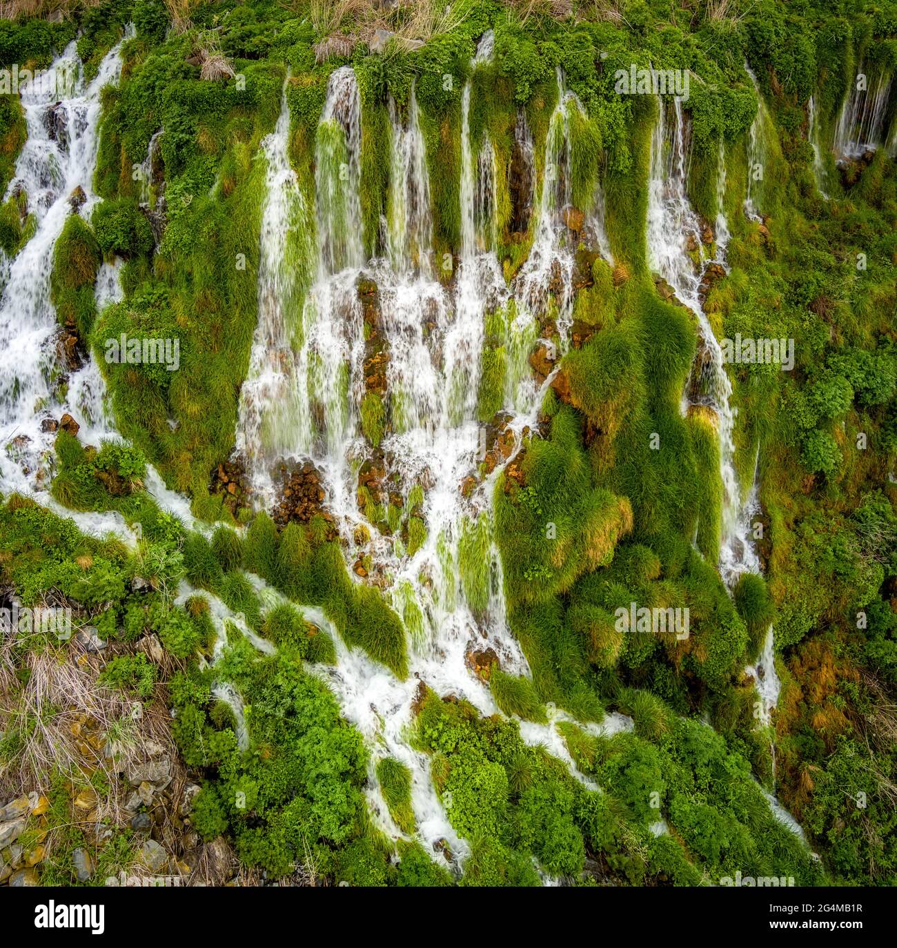 1000 Springs High Resolution Stock Photography and Images - Alamy