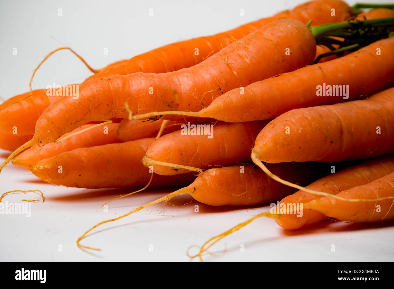 A bunch of carrots with tops, isolated on a white background Stock ...