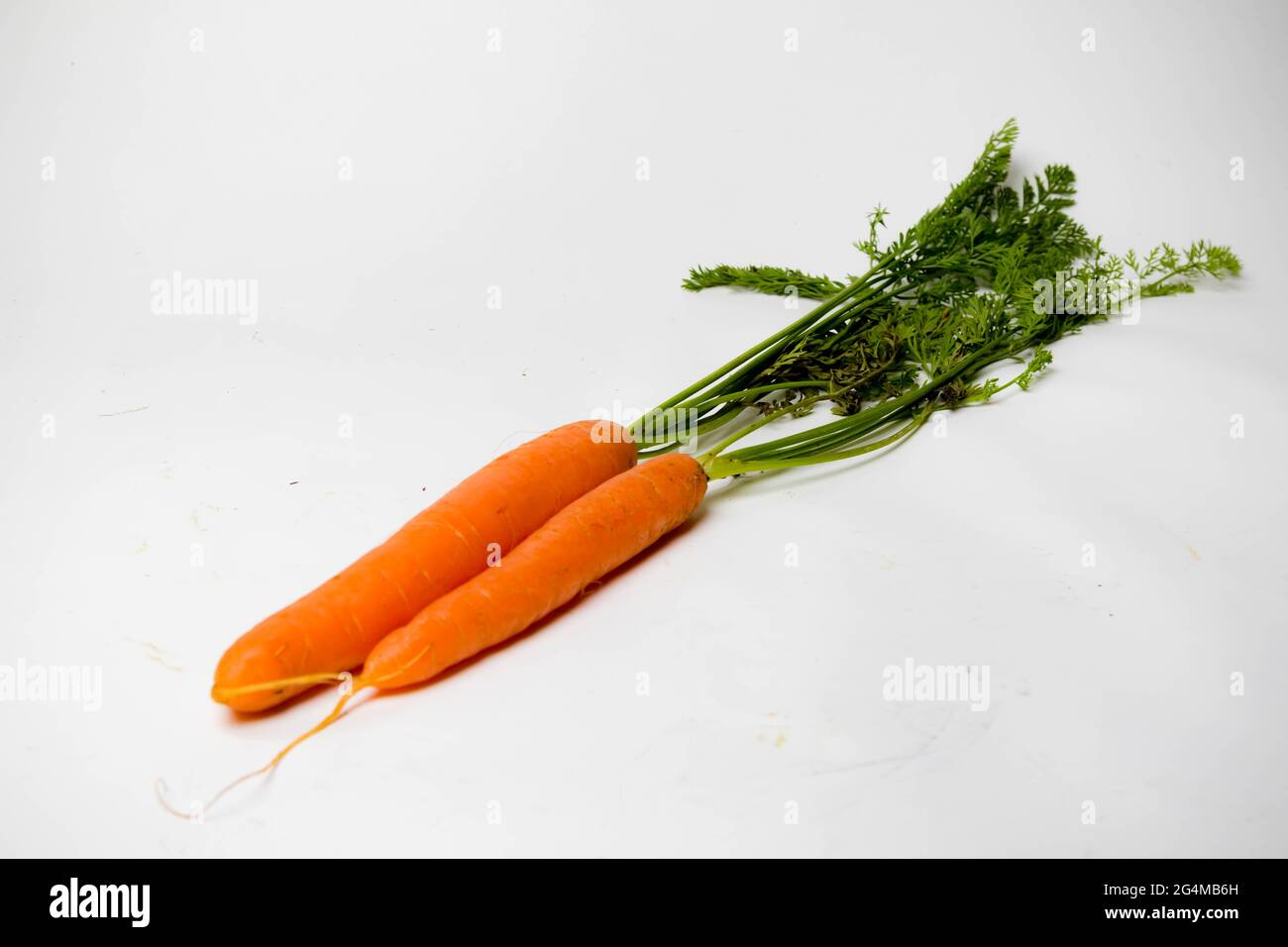 Two carrots with tops, isolated on a white background Stock Photo - Alamy