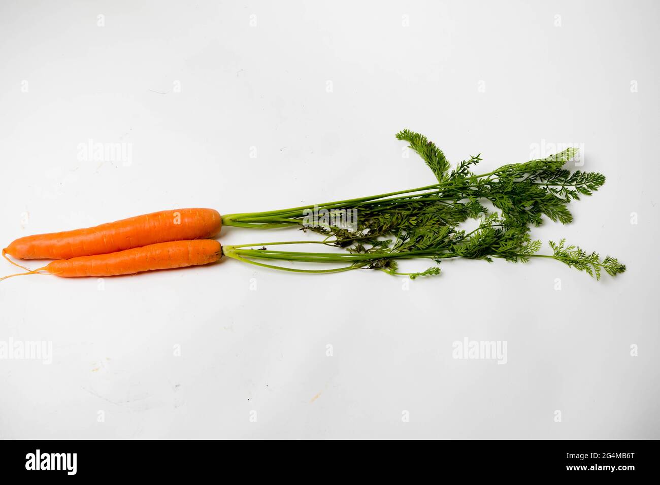 Two carrots with tops, isolated on a white background Stock Photo - Alamy
