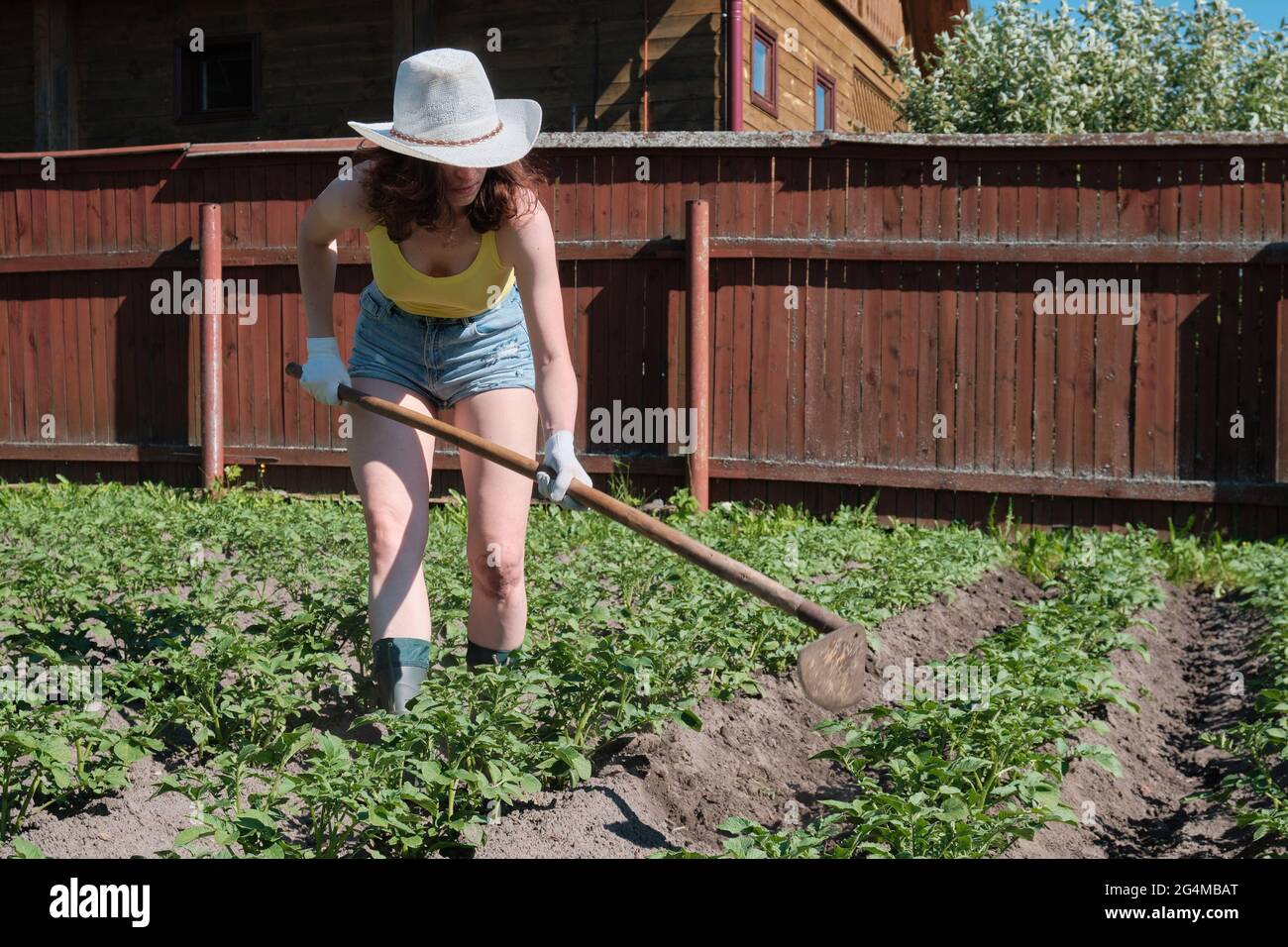 Young caucasian woman female farmer working in the agriculture filed ...