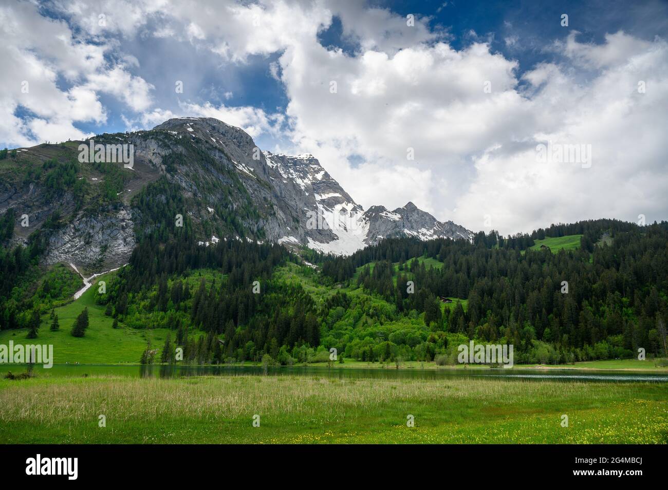 Lake lauenen bern switzerland hi-res stock photography and images - Alamy