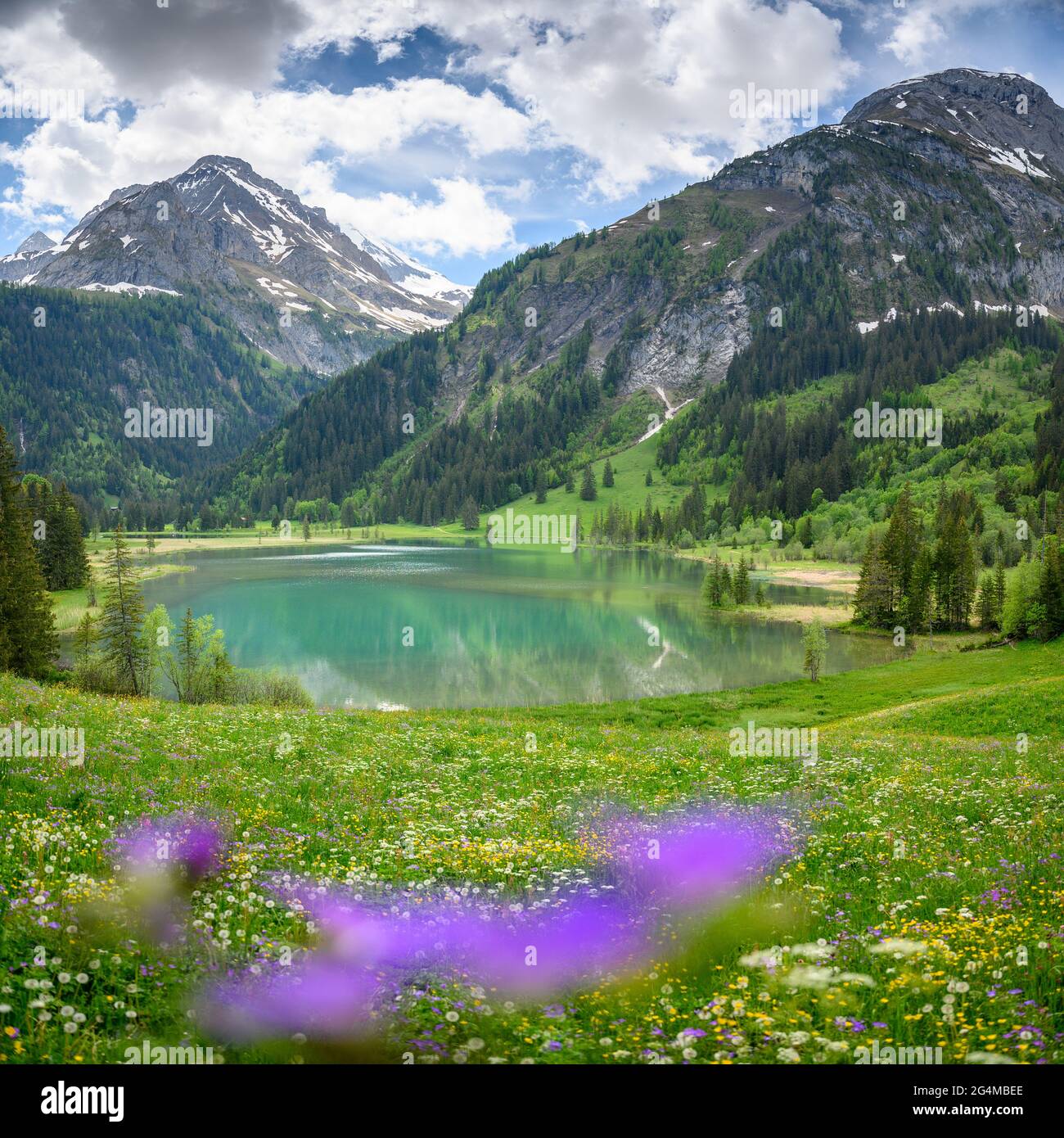 idyllic Lake Lauenensee with Wildhorn in spring, Bernese Alps ...