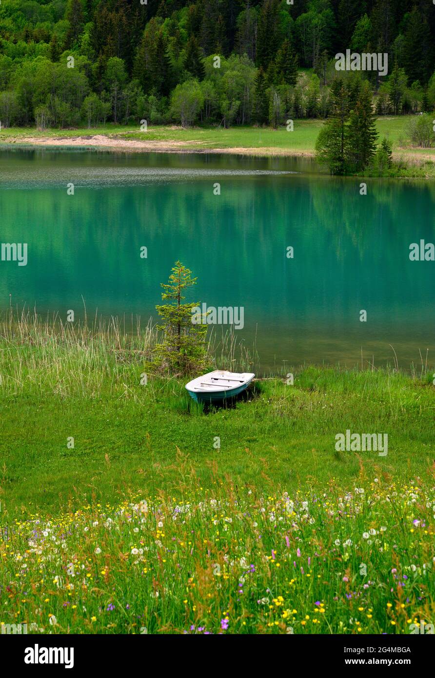 rowing boat in lake Lauenensee in spring Stock Photo - Alamy