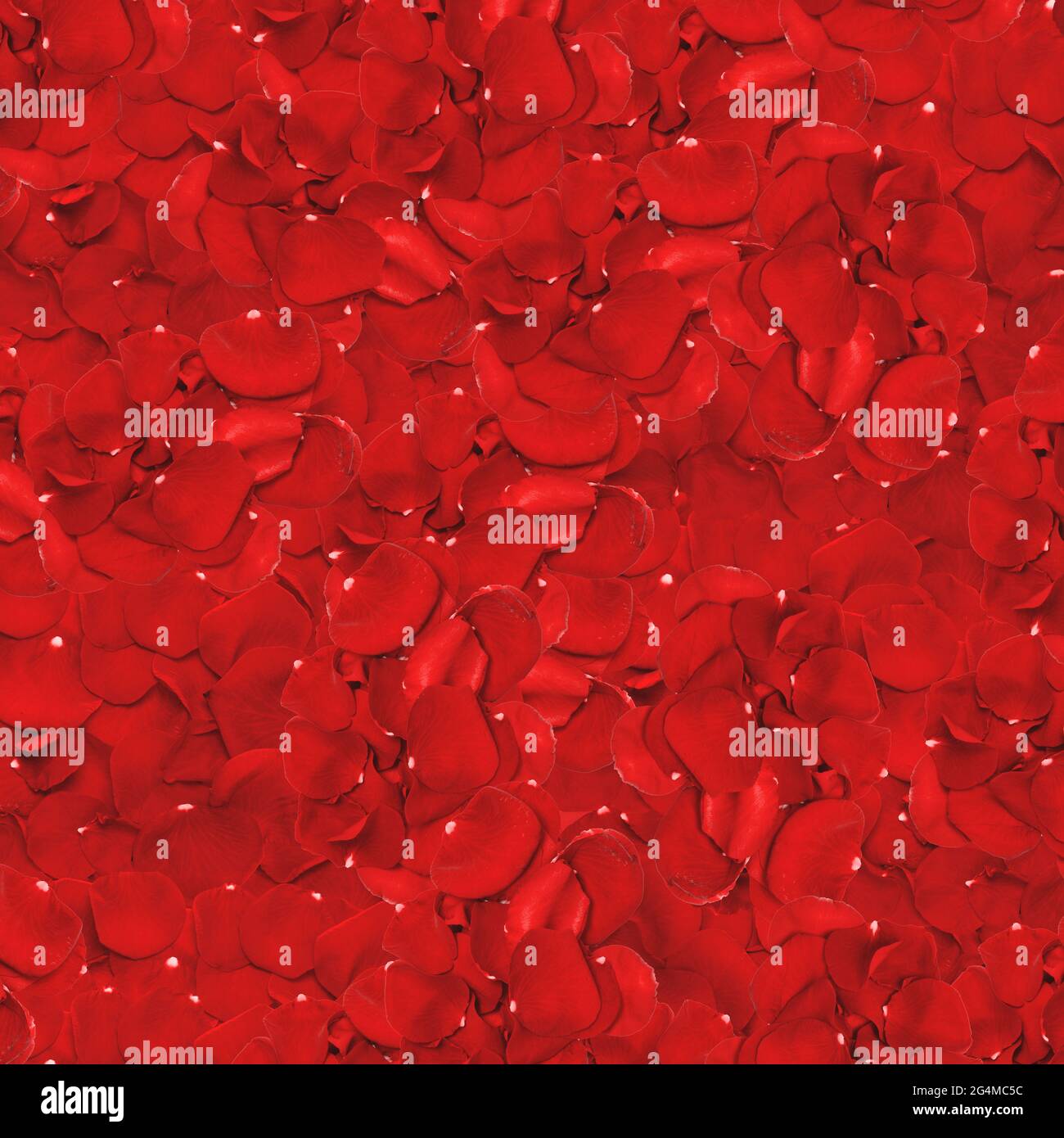 Red Rose Petals Background. High quality Stock Photo - Alamy