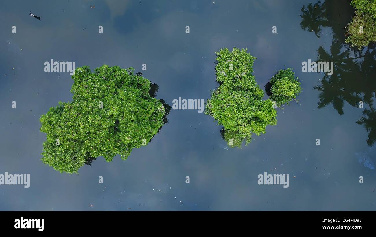 Aerial drone view colombia river hi-res stock photography and images ...