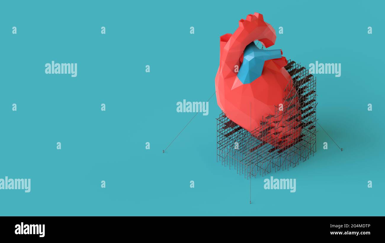 Internal structure of heart hi-res stock photography and images - Alamy