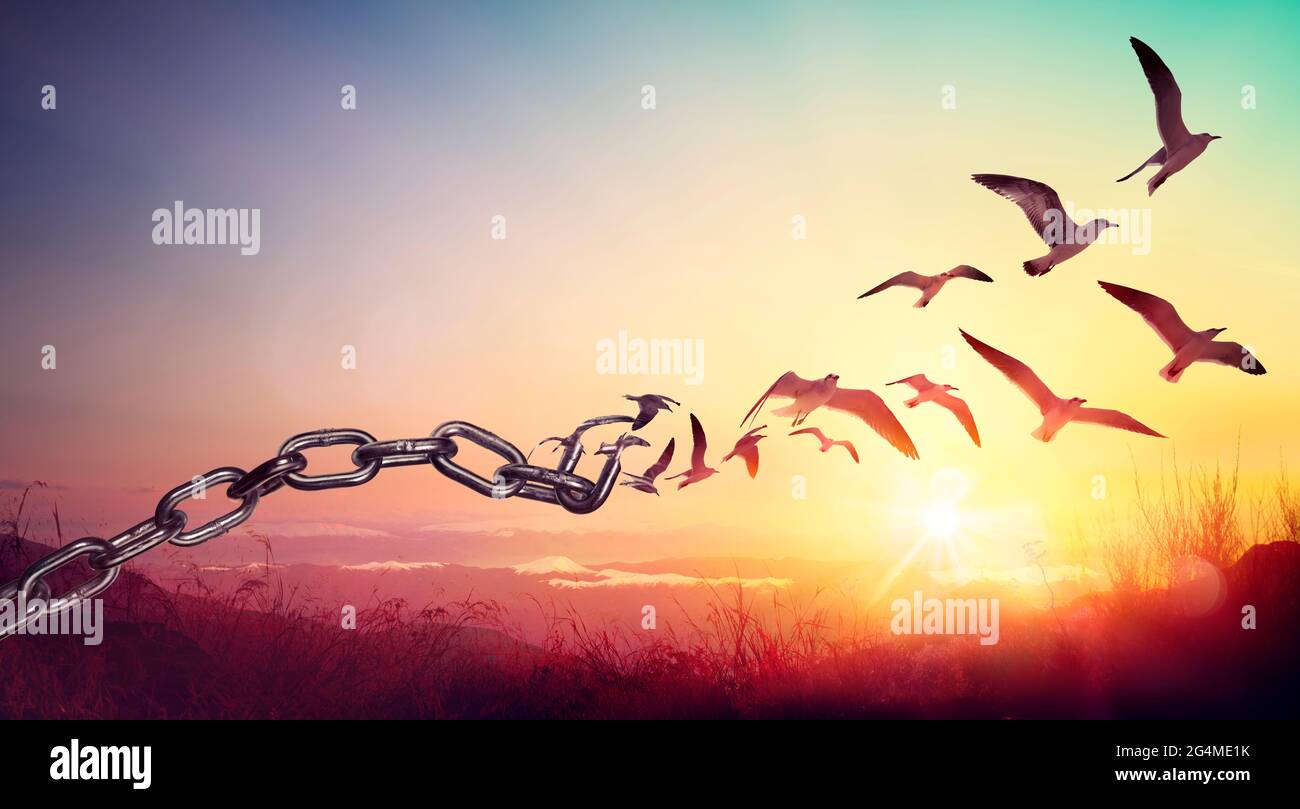 Freedom - Chains That Transform Into Birds - Charge Concept Stock Photo ...