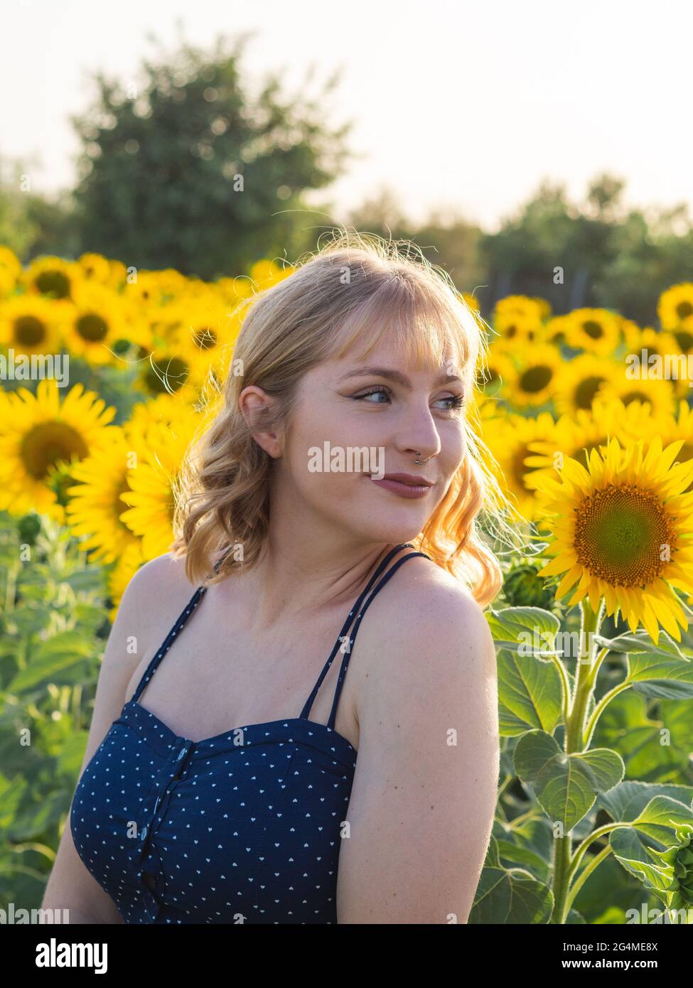 Pretty smiling female posing in the sunflower field and looking away ...