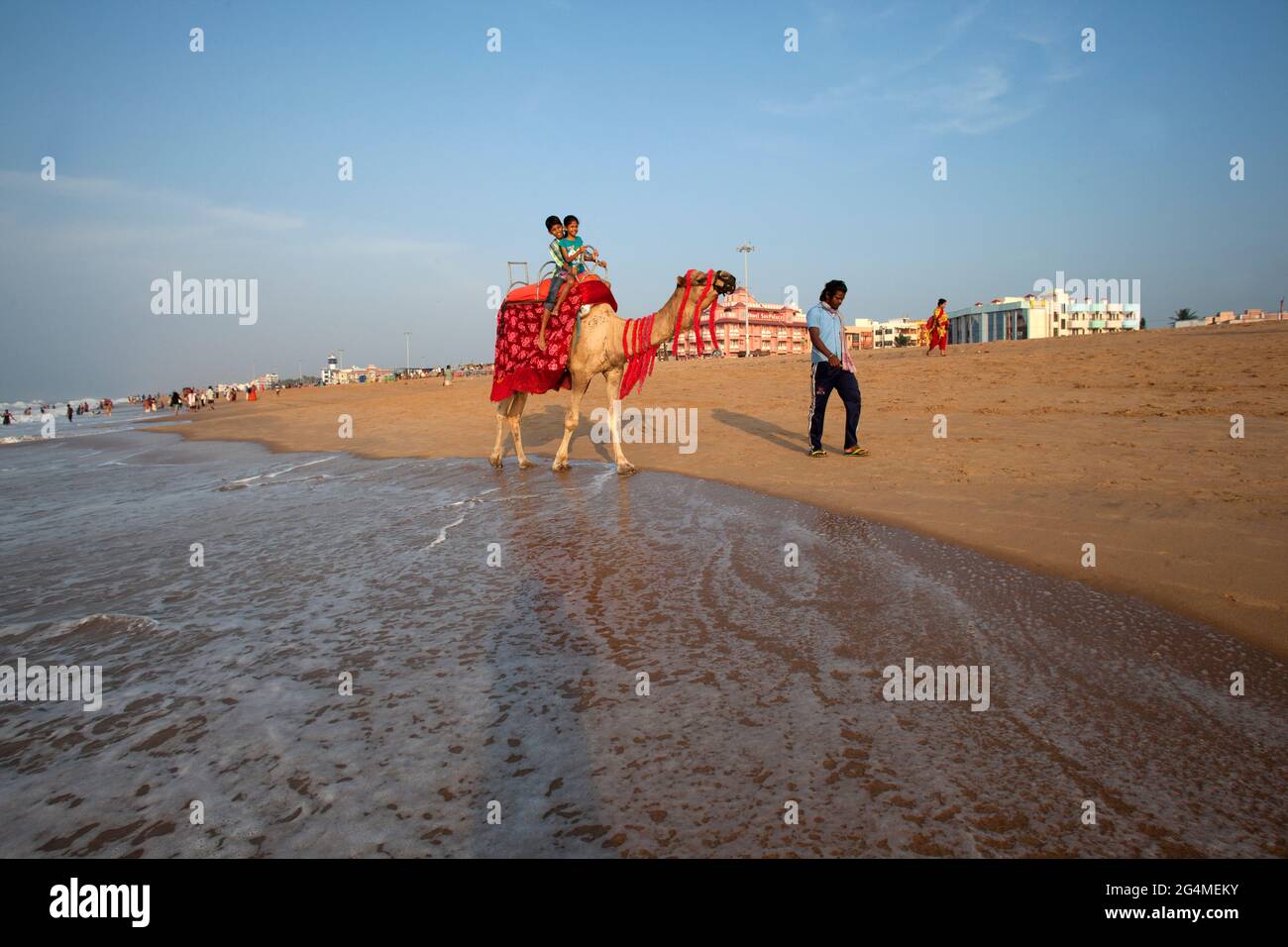 Camel ride at sea beach of puri hi-res stock photography and images - Alamy