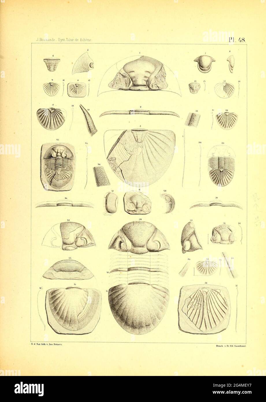 Silurian devonian hi-res stock photography and images - Alamy