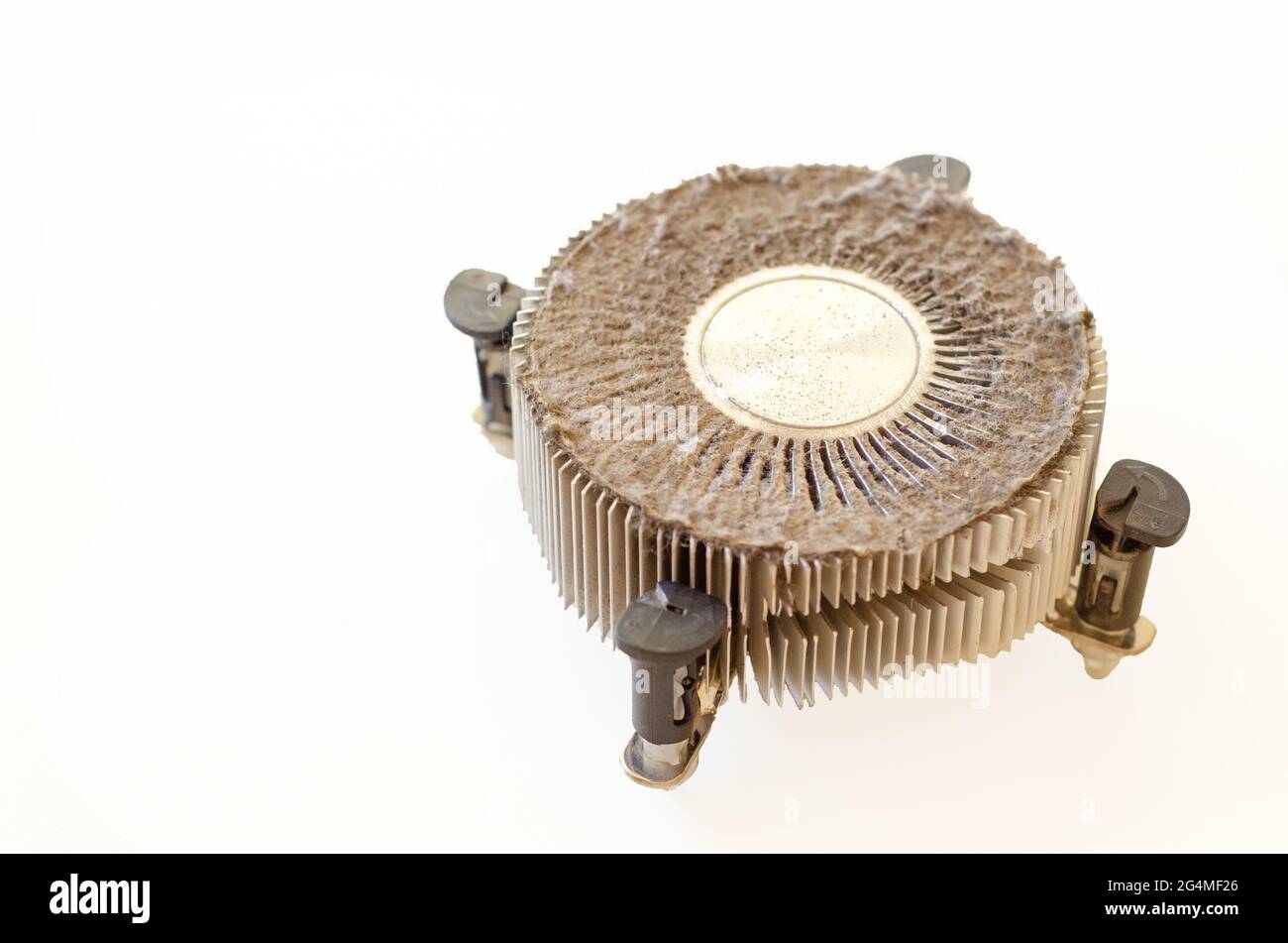 Fur detail Cut Out Stock Images & Pictures - Alamy