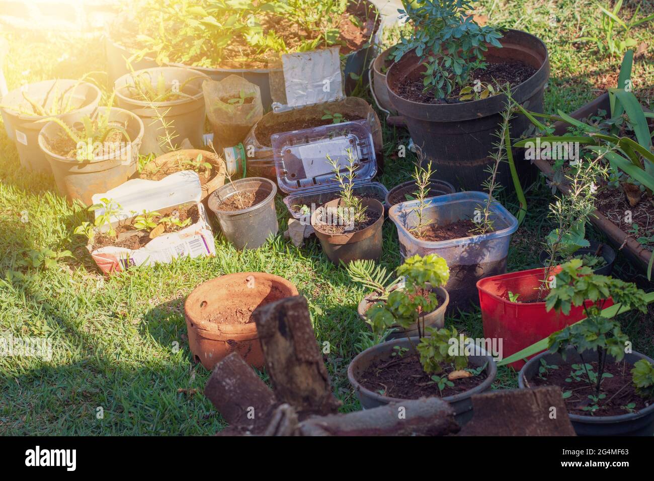 Home made poor small rural vegetable garden with recyclable material ...