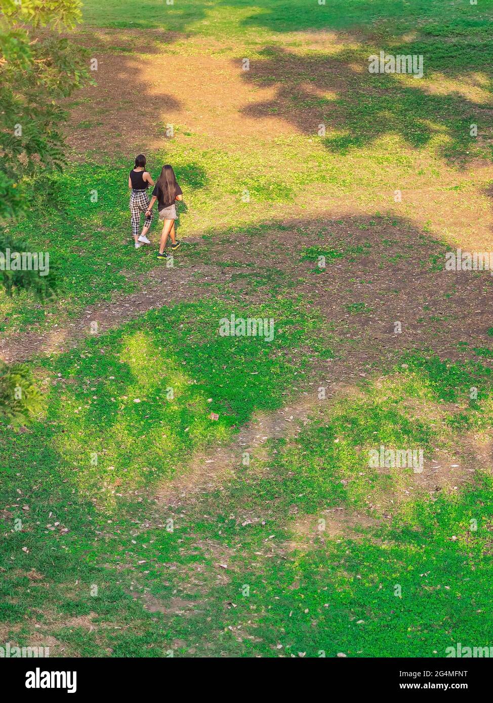 Back view of Asian women walking side by side through green garden. Two ...