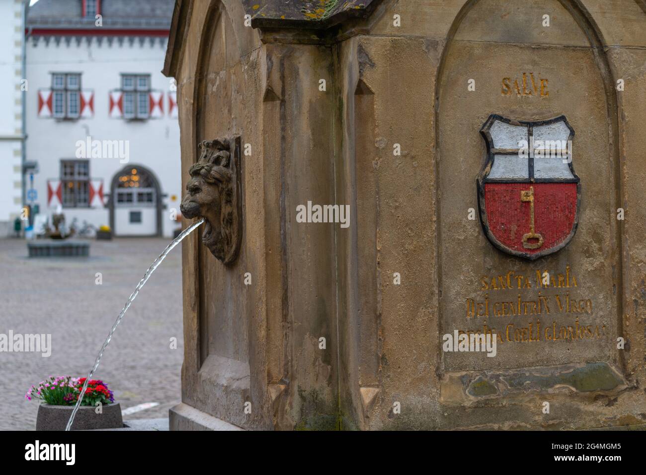 Saint Maria Stutue and monument on the Town square, historical Linz on ...