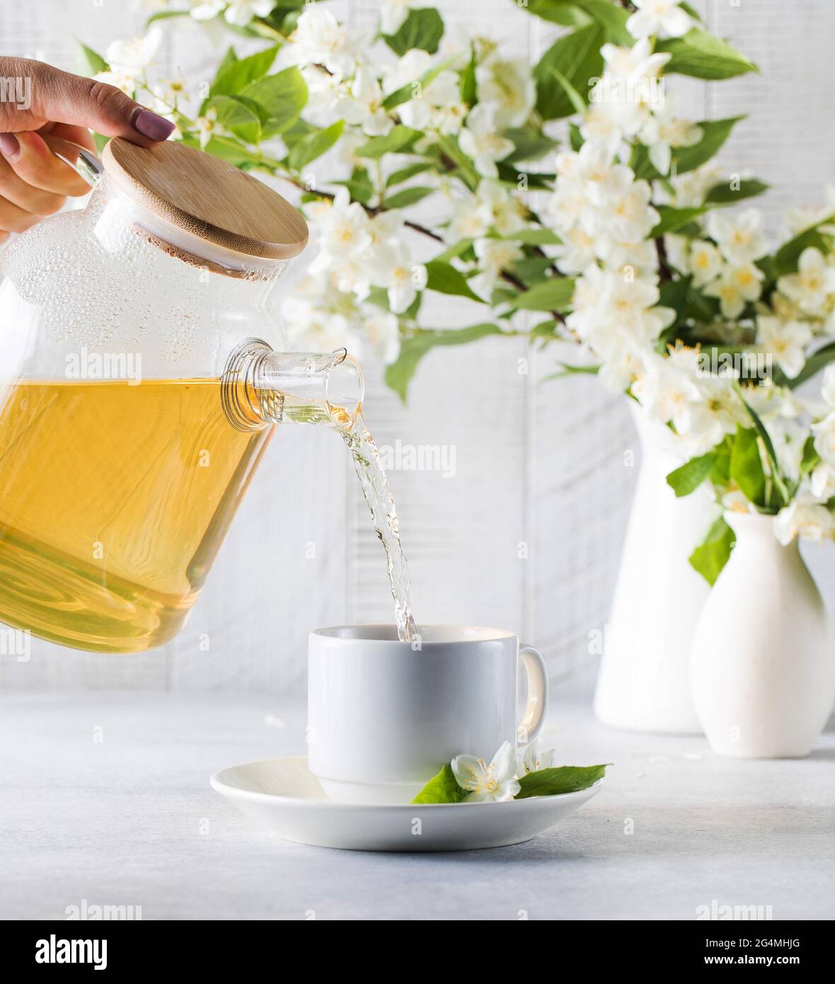 Green Chinese tea is poured from a teapot into a mug against the ...