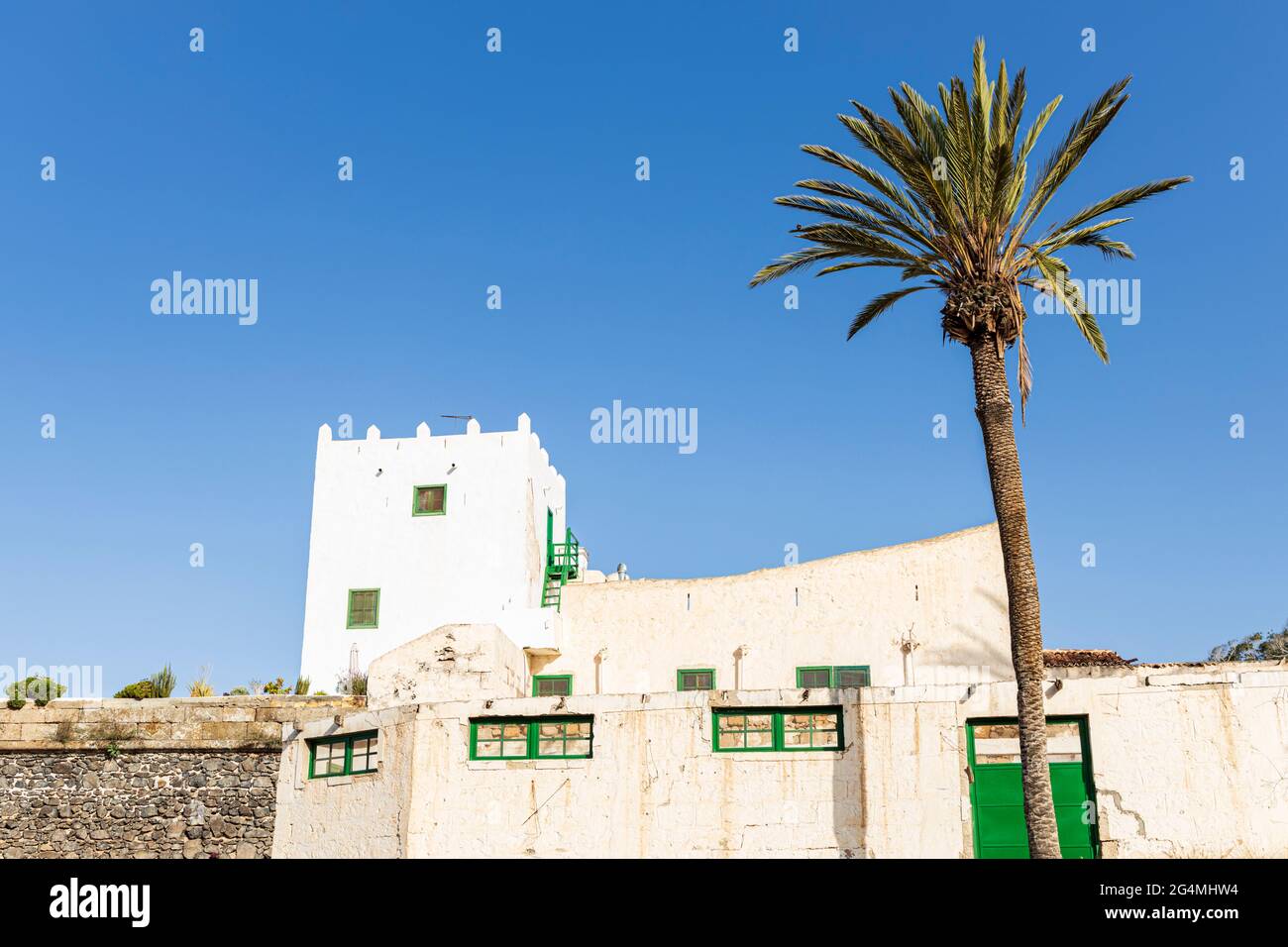 The Casa Fuerte, fortified tower and Canary palm tree, Adeje, Tenerife ...