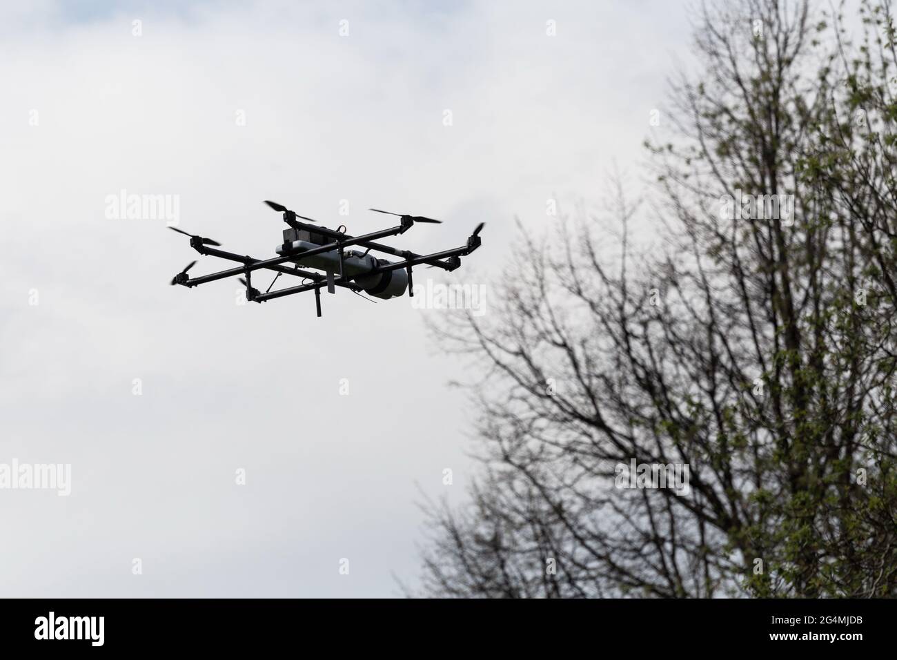 Drone rosguard hi-res stock photography and images - Alamy
